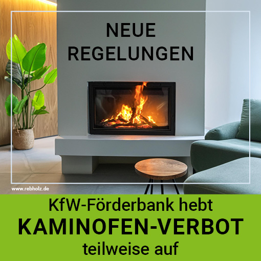 Kaminofen Verbot 2024 1