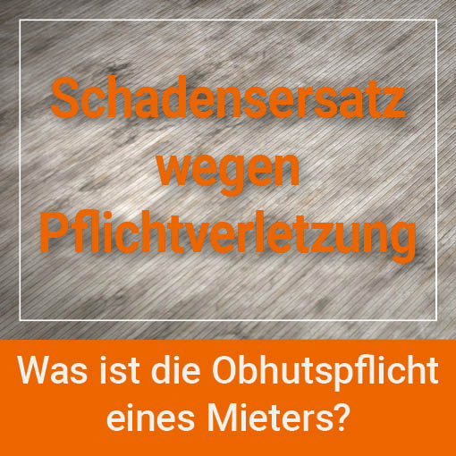 Obhutspflicht Des Mieters
